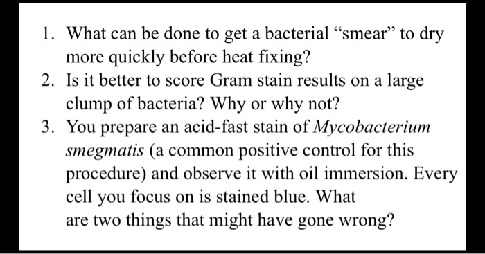 Solved 1. What can be done to get a bacterial “smear” to dry | Chegg.com