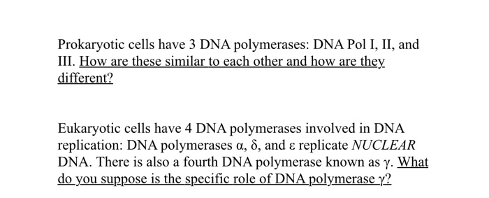 Solved Prokaryotic cells have 3 DNA polymerases: DNA Pol I, | Chegg.com