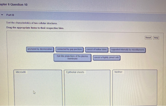 apter 6 Question 10 Part B Sort the characteristics | Chegg.com