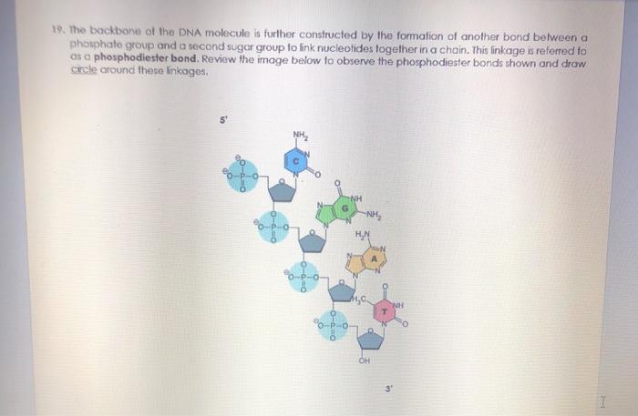 Solved EPIGENETICS: INVESTIGATING THE STRUCTURE AND FUNCTION | Chegg.com