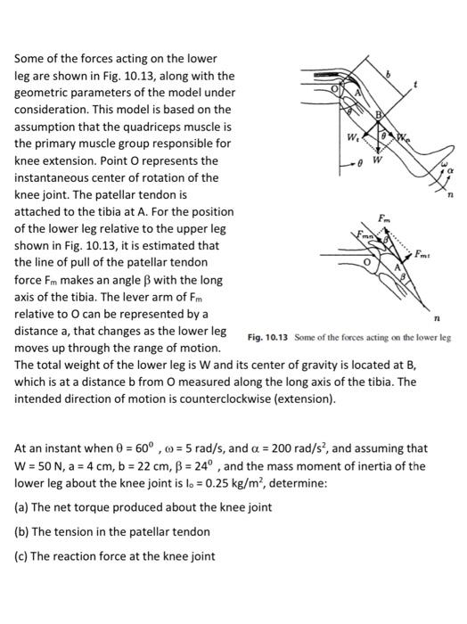 Solved ASSESSSMENT DYNAMICS OF A SINGLE SEGMENT PROBLEM 1 | Chegg.com