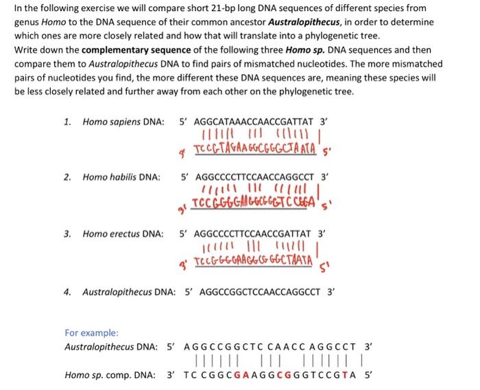 Solved Species A was recently discovered and its DNA | Chegg.com