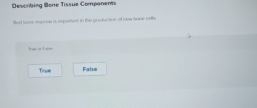 Solved Describing Bone Tissue ComponentsRed bone marrow is | Chegg.com