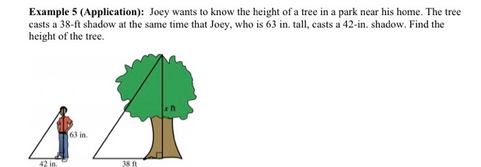 Solved Example 5 (Application): Joey wants to know the | Chegg.com