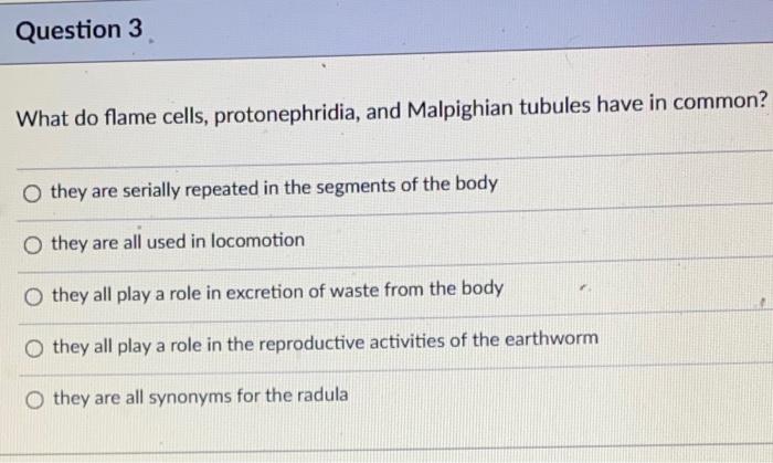 Solved Question 3 What do flame cells, protonephridia, and | Chegg.com