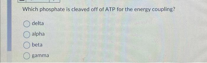 Which phosphate is cleaved off of ATP for the energy | Chegg.com