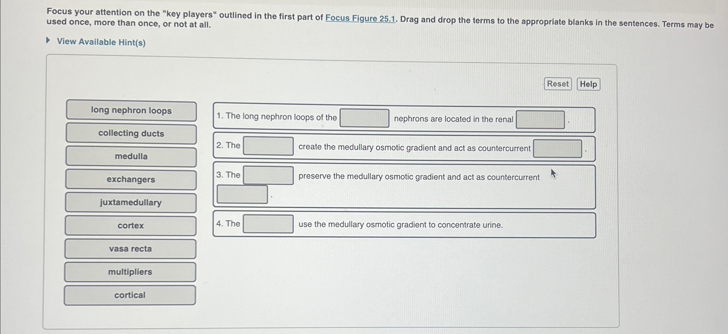 Solved Focus your attention on the "key players" outlined in | Chegg.com