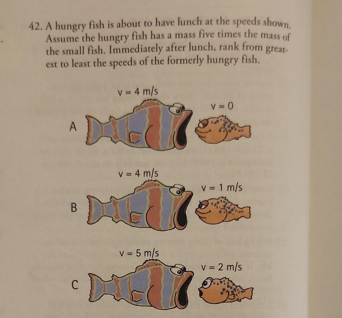 Solved 42. A hungry fish is about to have lunch at the | Chegg.com