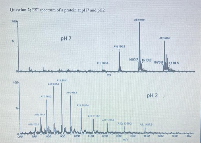 Structure of an example of an oligosaccharide | Chegg.com
