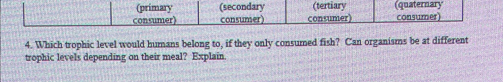 Solved Wich trophic level would humans belong to, ﻿if they | Chegg.com