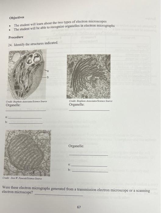 Solved Objectives - The student will leam about the two | Chegg.com
