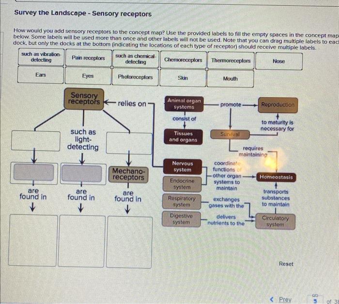 Solved Survey the Landscape - Sensory receptors How would | Chegg.com