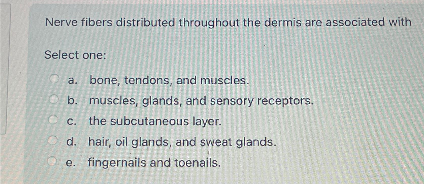 Solved Nerve fibers distributed throughout the dermis are | Chegg.com