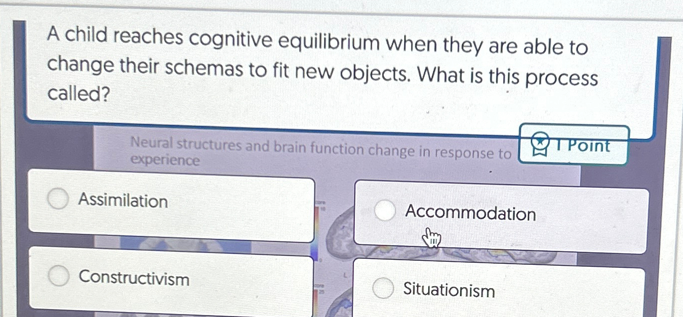 Solved A child reaches cognitive equilibrium when they are | Chegg.com