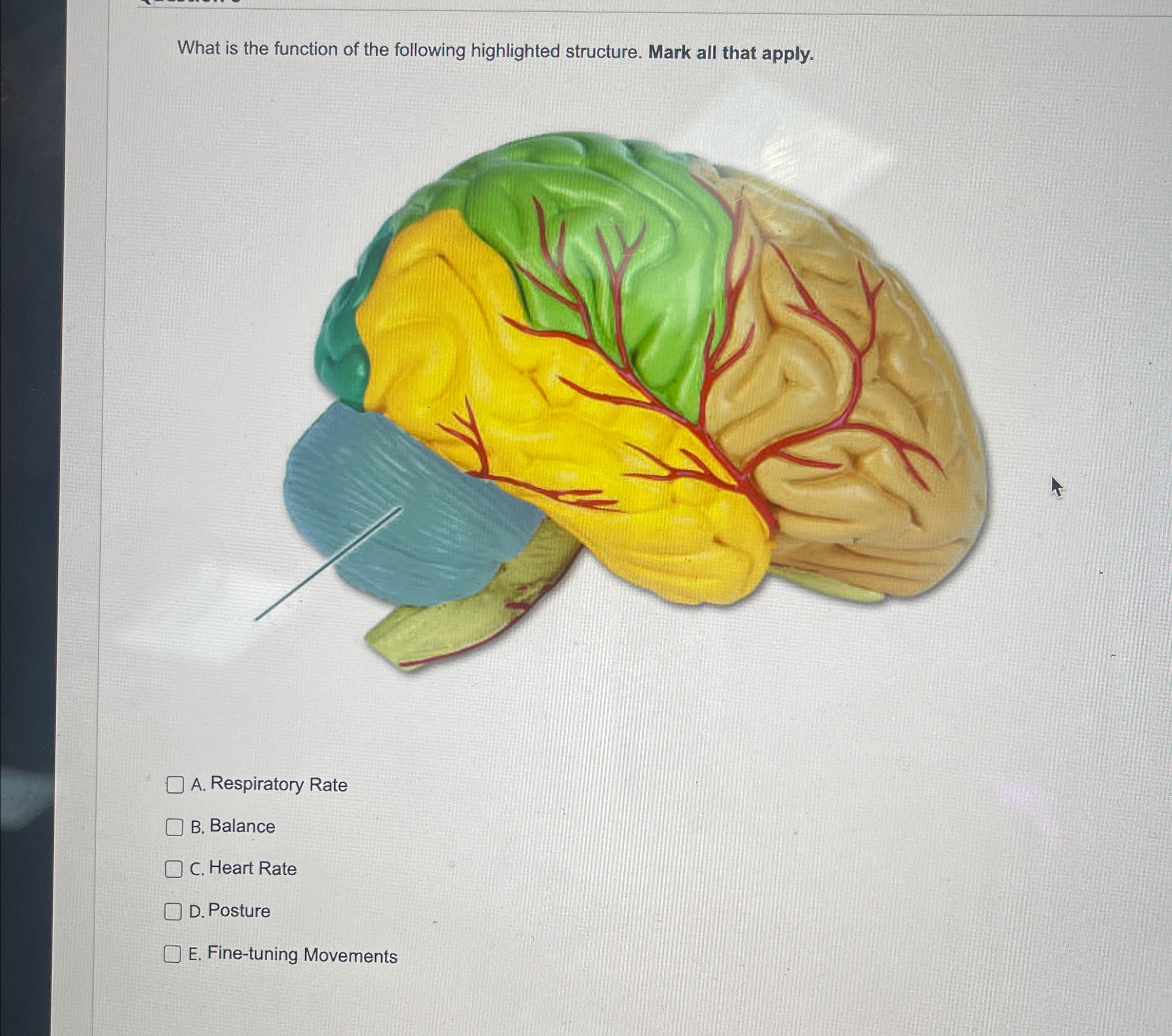 Solved What is the function of the following highlighted | Chegg.com