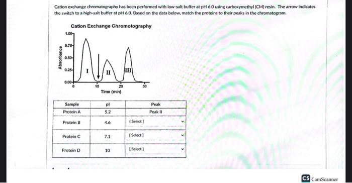 Solved Cation exchange chromatography has been performed | Chegg.com