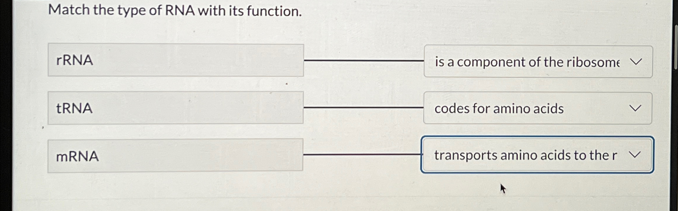 Solved Match the type of RNA with its function. ﻿is a | Chegg.com