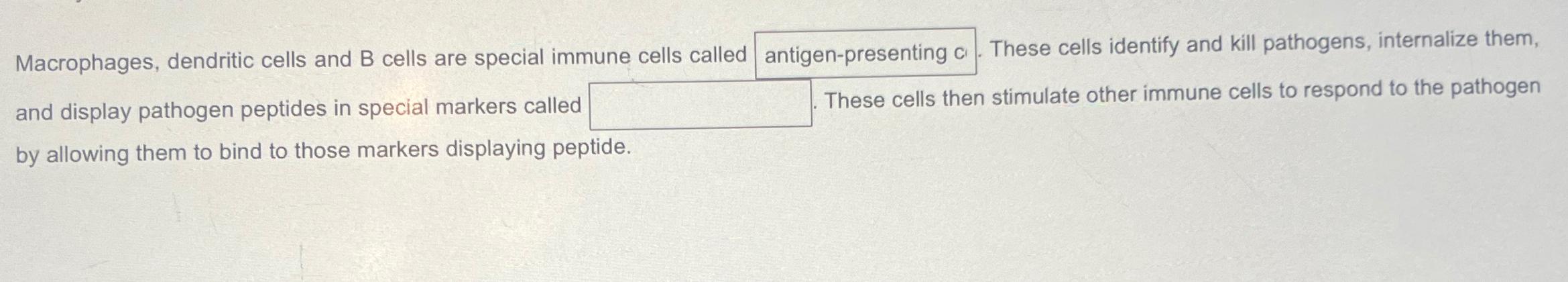 Solved Macrophages, dendritic cells and B cells are special | Chegg.com