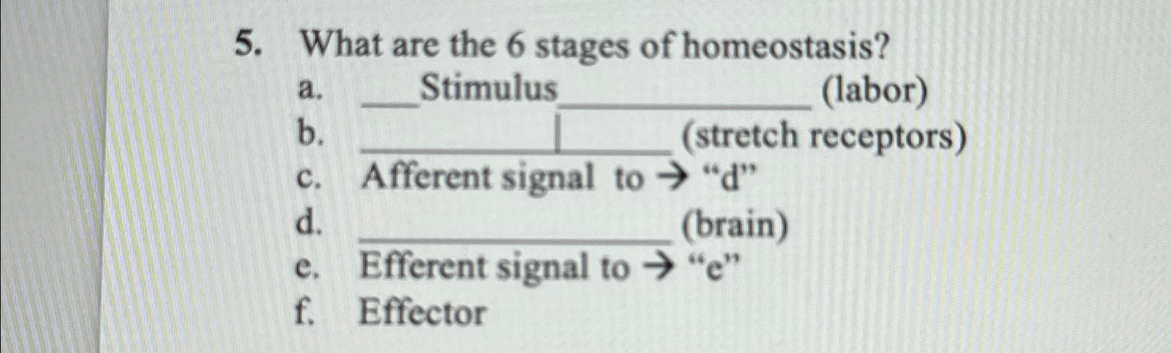 Solved What are the 6 ﻿stages of homeostasis?a. | Chegg.com