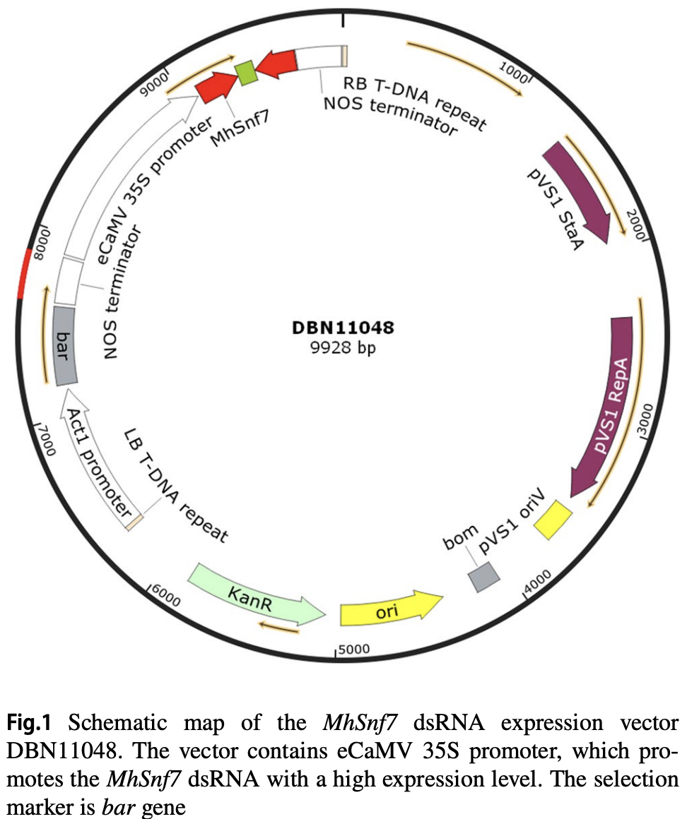 Solved Explain this schematic map.Fig. 1 ﻿Schematic map of | Chegg.com