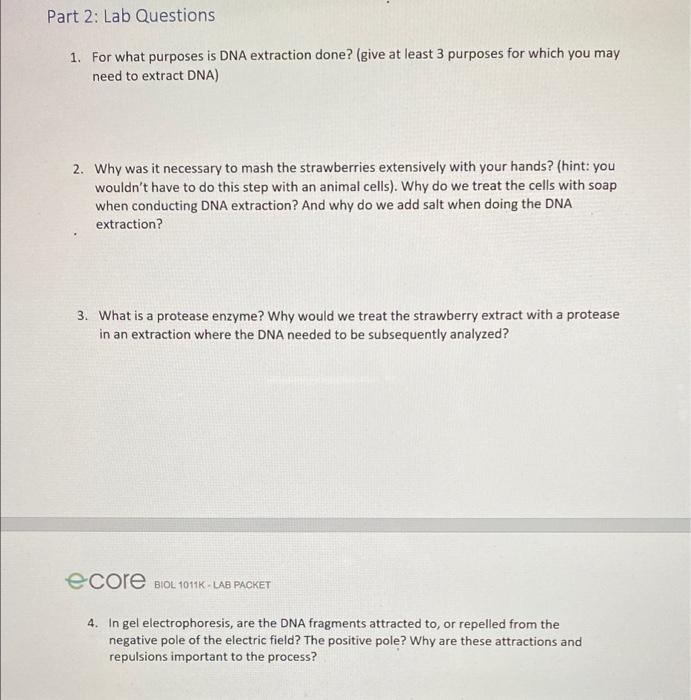 Solved Part 2: Lab Questions 1. For what purposes is DNA | Chegg.com