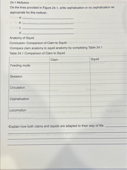 Solved 24.1 Molluscs On the lines provided in Figure 24.1, | Chegg.com