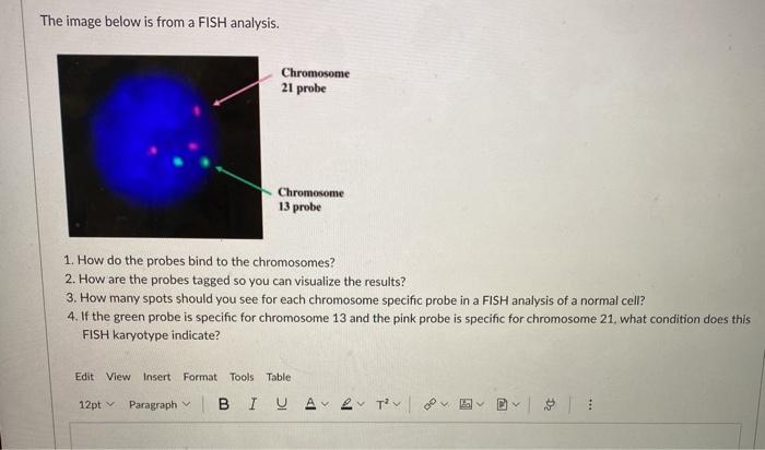 Solved The image below is from a FISH analysis. Chromosome | Chegg.com