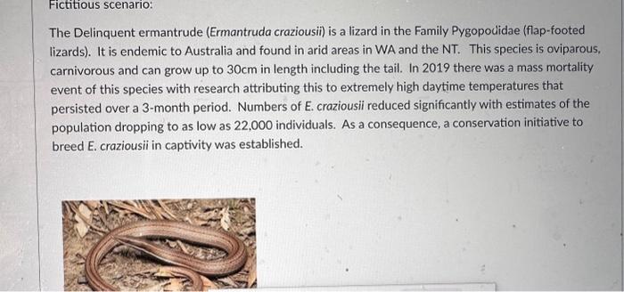 The Delinquent ermantrude (Ermantruda craziousii) is | Chegg.com