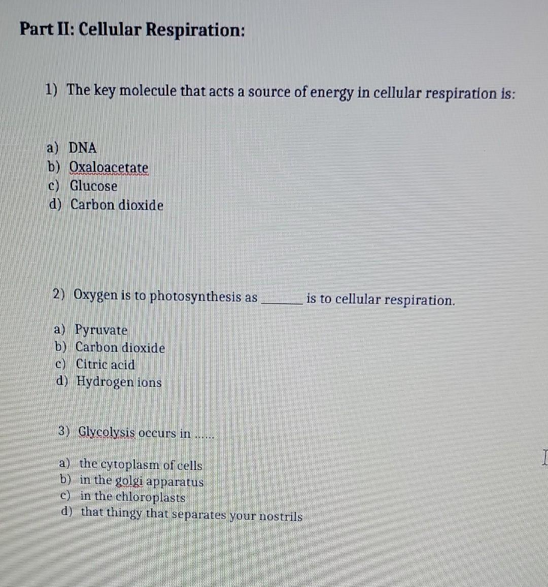 Solved 1) The key molecule that acts a source of energy in | Chegg.com