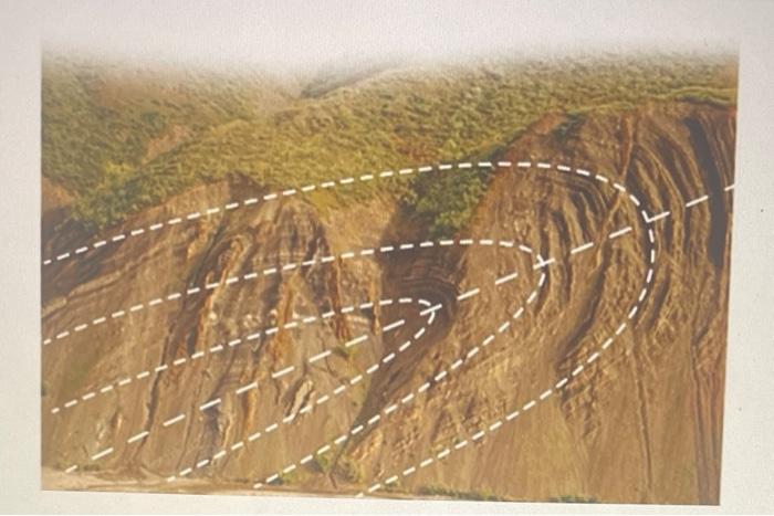 Solved What kind of fold is visible in this figure? | Chegg.com