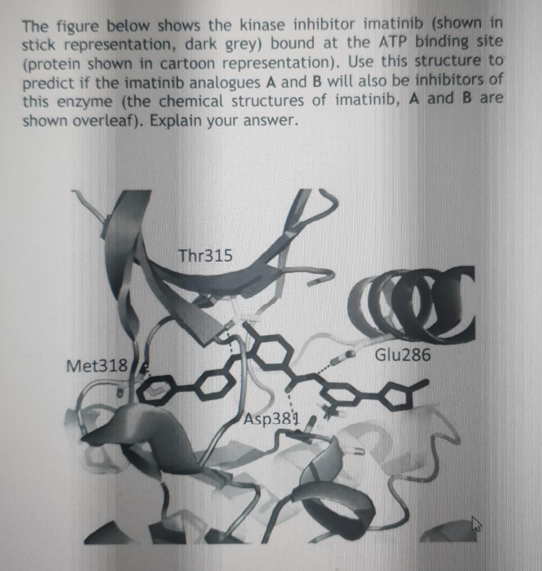 The figure below shows the kinase inhibitor imatinib | Chegg.com