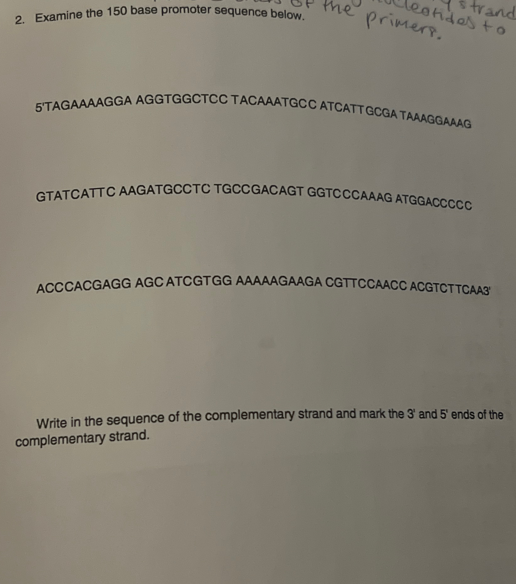 Solved Examine the 150 ﻿base promoter sequence | Chegg.com