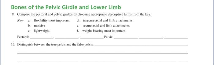 Solved Bones of the Pelvic Girdle and Lower Limb 9. Compare | Chegg.com
