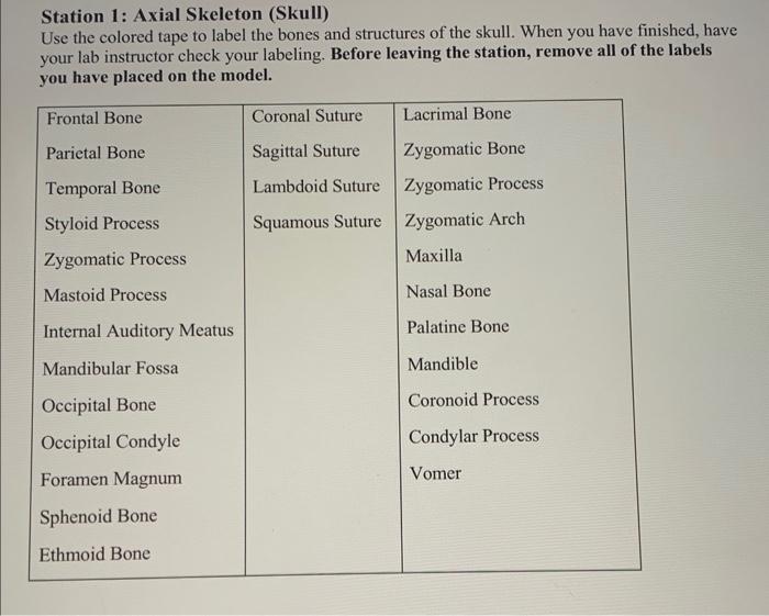 Solved ONLY LABEL STRUCTURES FROM THE LIST OF TERMS ON | Chegg.com