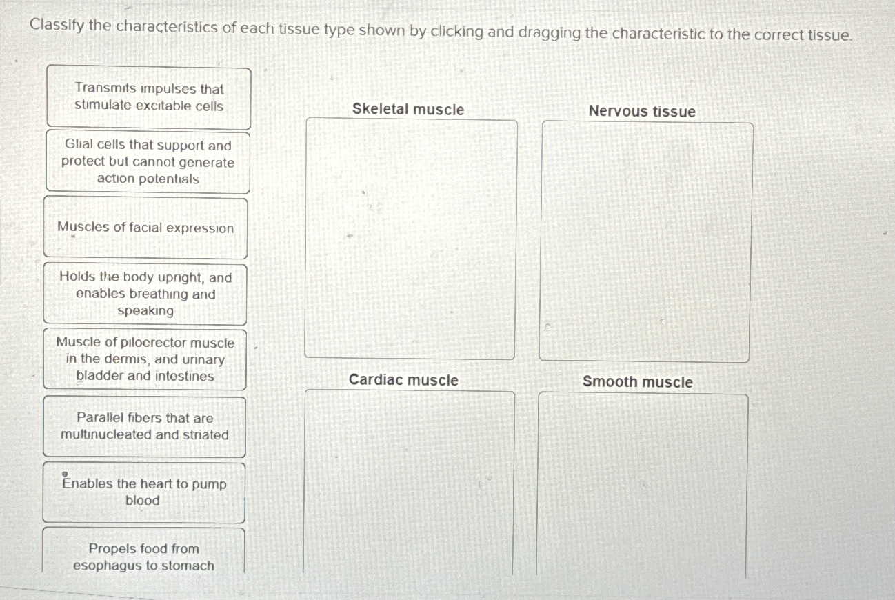 Solved Classify the characteristics of each tissue type | Chegg.com