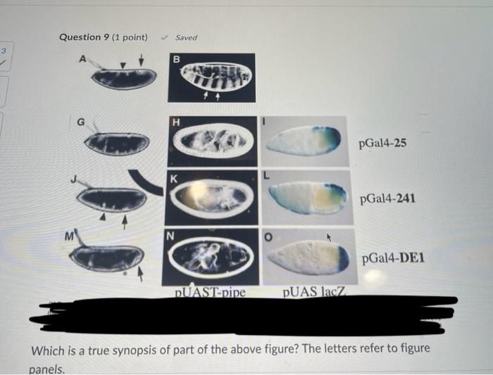 Solved Which is a true synopsis of part of the above figure? | Chegg.com