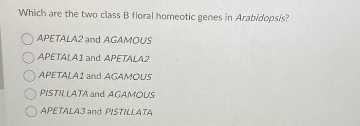 Solved Which are the two class B floral homeotic genes in | Chegg.com