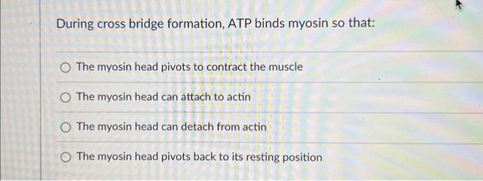 Solved During cross bridge formation, ATP binds myosin so | Chegg.com