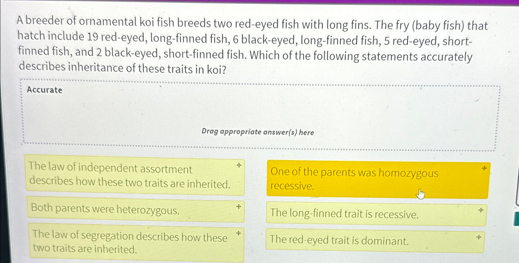 Solved A breeder of ornamental koi fish breeds two red-eyed | Chegg.com