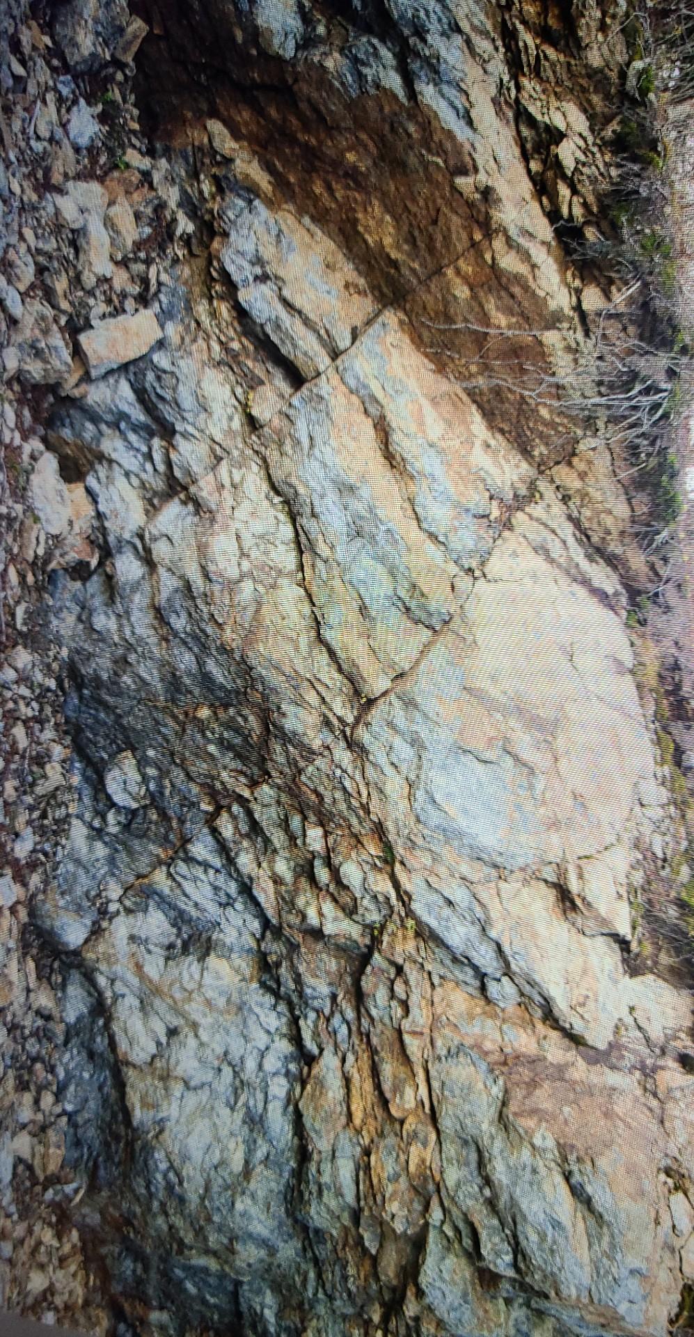 Solved Stop 4: Biotite Phyllite and structures | Chegg.com