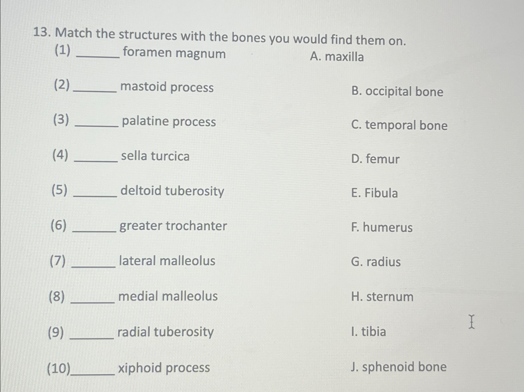 Solved Match the structures with the bones you would find | Chegg.com