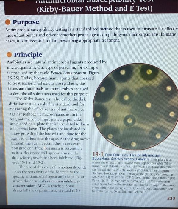 Solved (Kirby-Bauer Method and E Test) Purpose Antimicrobial | Chegg.com