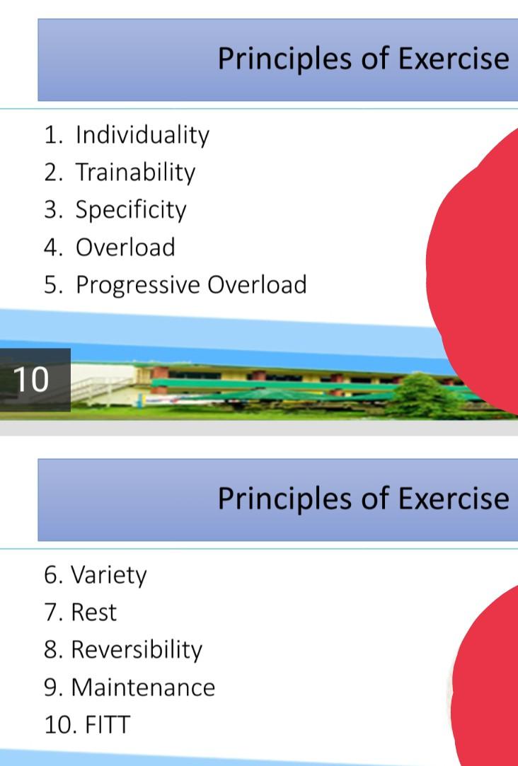 Solved 1. Explain the importance of each principles of | Chegg.com