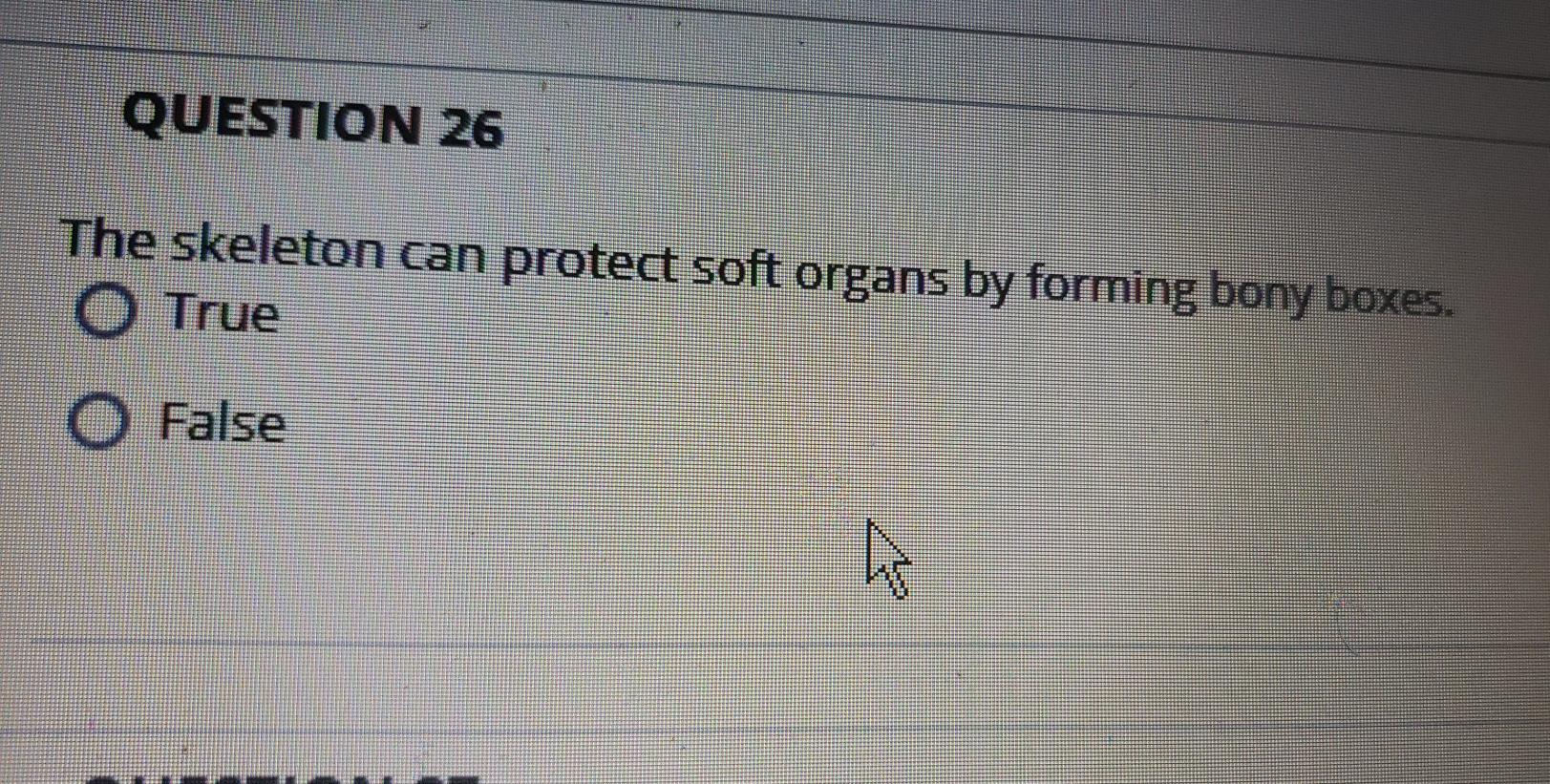 Solved QUESTION 26 The skeleton can protect soft organs by | Chegg.com