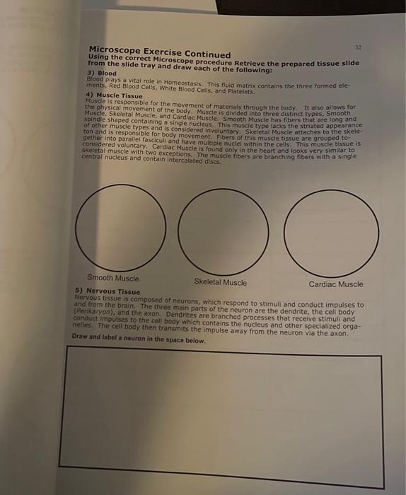 Solved Microscope Exercise Continued Using the correct | Chegg.com