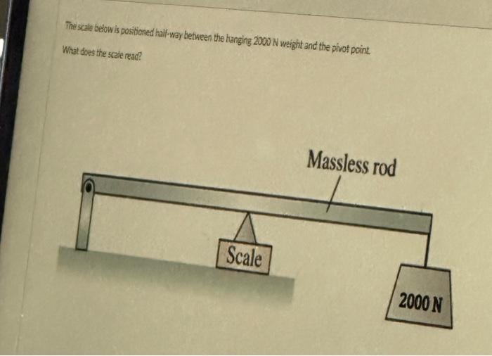 Solved The scale below is positioned half-way between the | Chegg.com