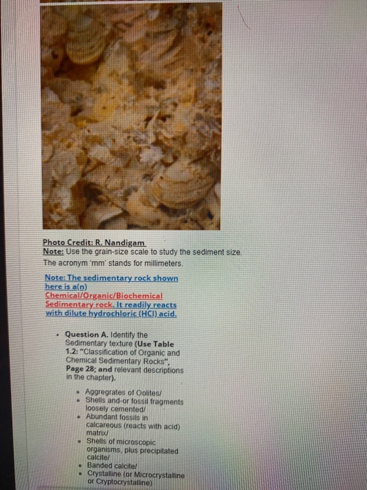 To complete this question you will need to examine | Chegg.com