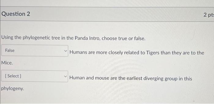Solved Question 2 Using the phylogenetic tree in the Panda | Chegg.com