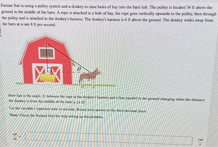 Solved Farmer Sue is using a pulley system and a donkey to | Chegg.com