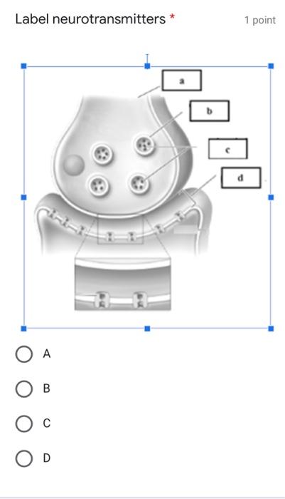 Solved Label a vesicle carrying neurotransmitters B O D 1 | Chegg.com
